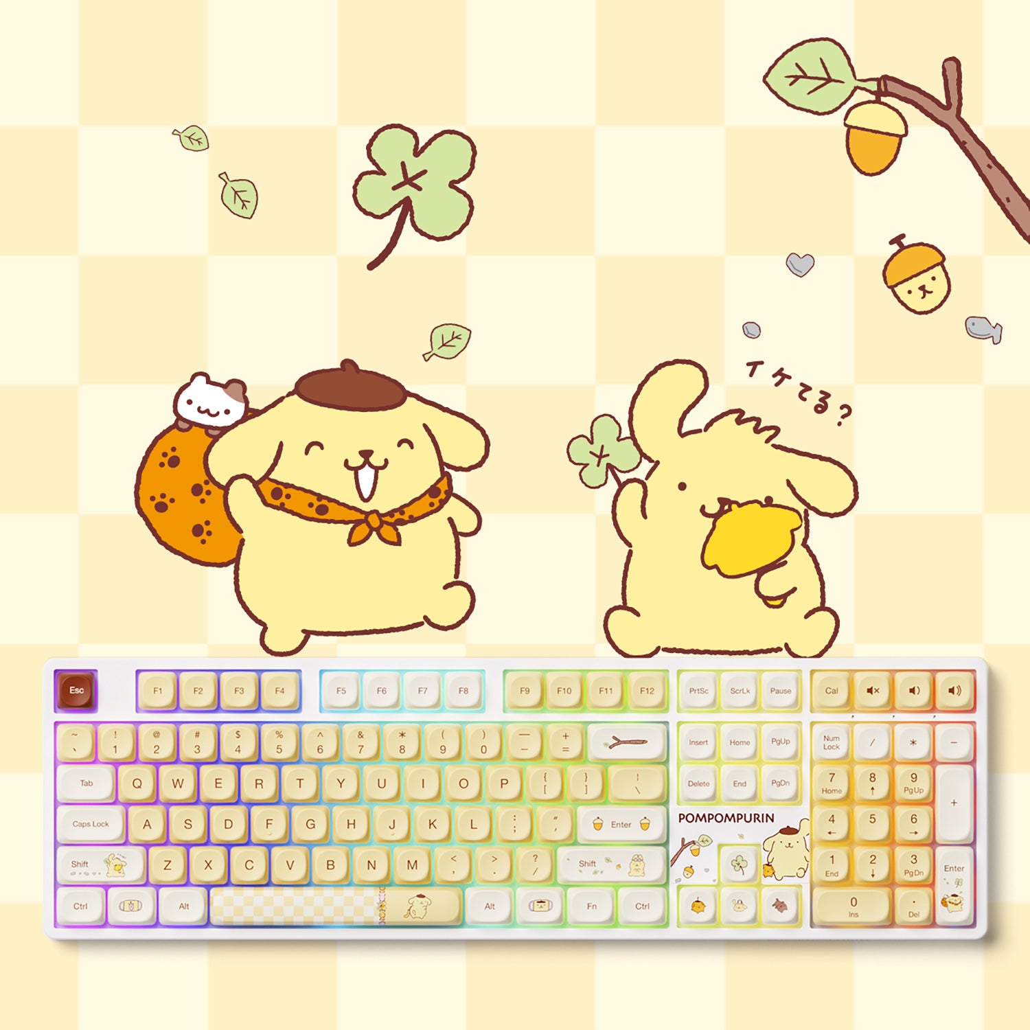 100% Tastatur Full Size Keyboard｜AKKO Germany